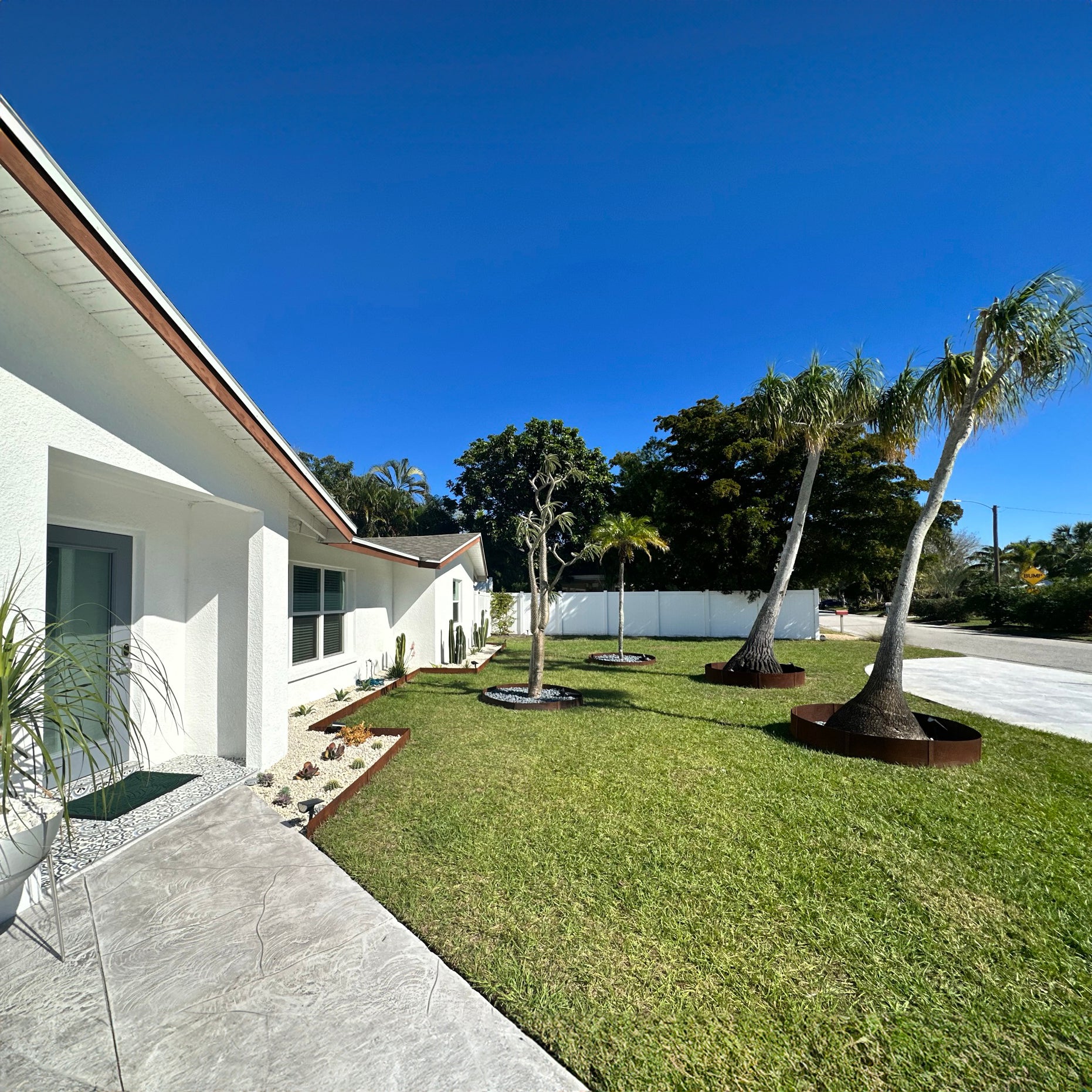 Tree Ring Kits – Edge Right