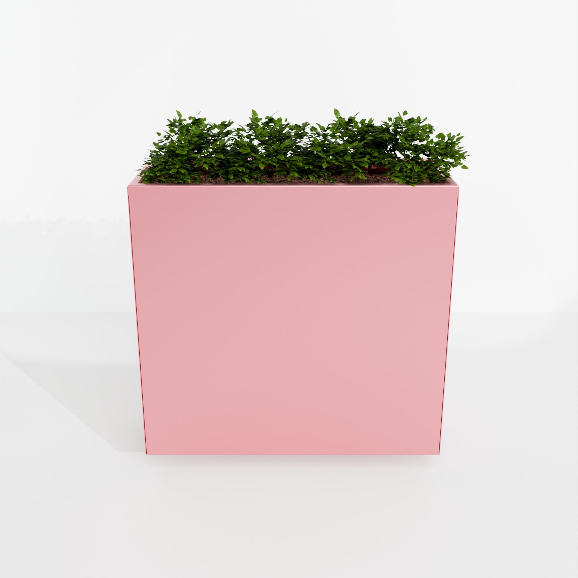 The Planters - Define Elegance, Embrace Durability. – Edge Right
