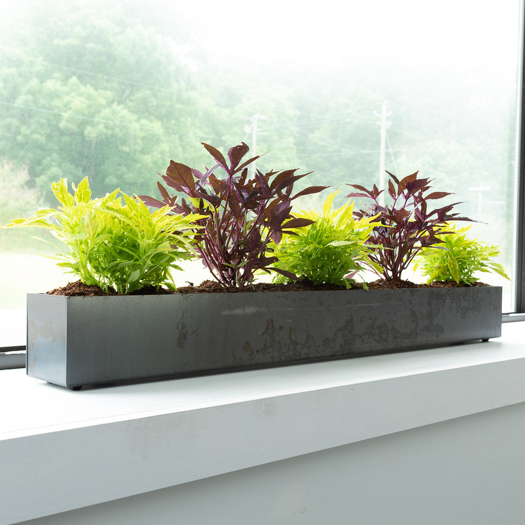 COR-TEN Steel Planter Box (32" L x 3.5" W x 3.5" H) – Edge Right