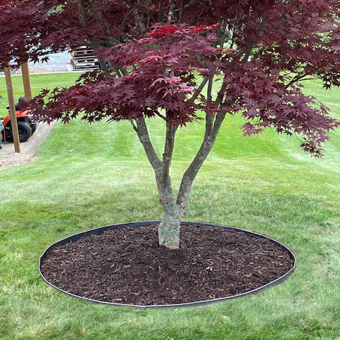 Tree Ring Kits – Edge Right